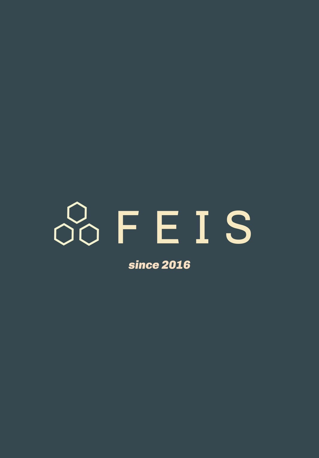 FEIS - feis2021 ページ！