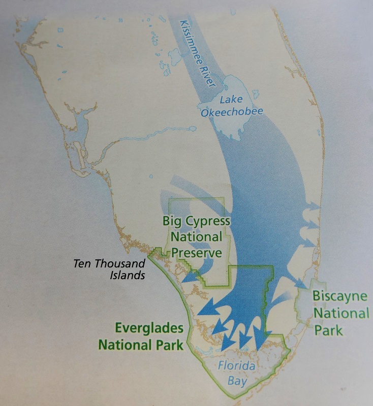 Everglades - Die Welt erleben