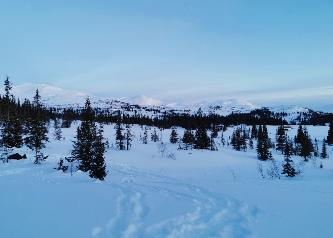 Schneewanderung Skandinavien 2023 - kaiswanderungens Webseite!