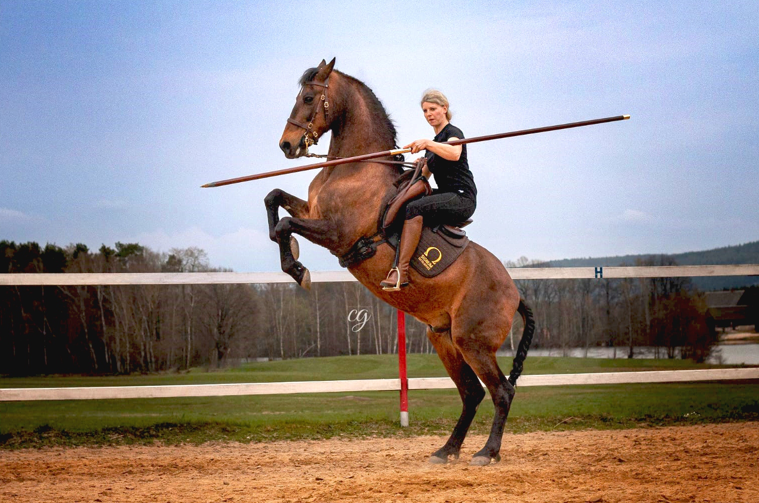 Super leichte Übungs-Garrocha - Trail, Working-Equitation-Equipment ...