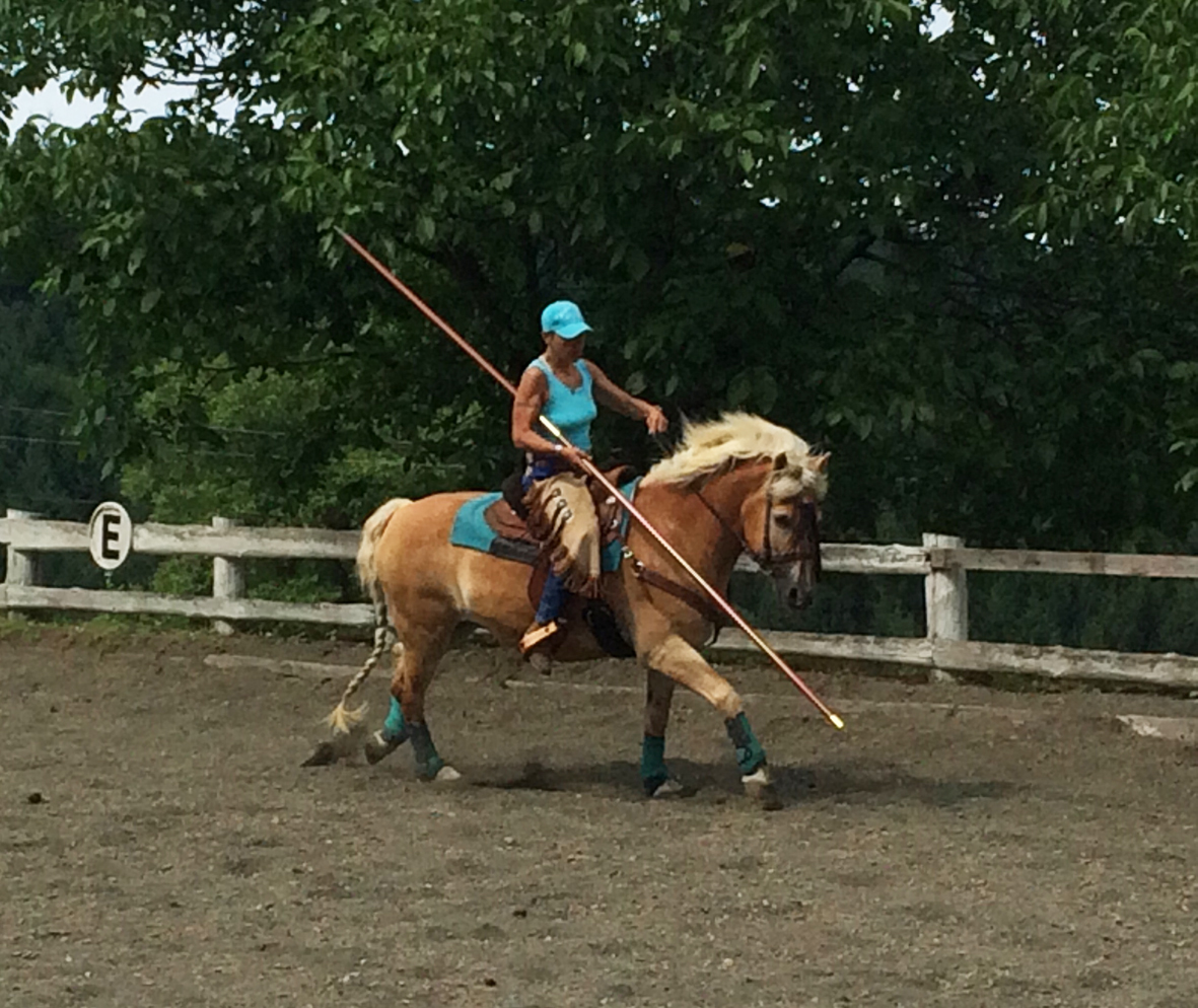 Super leichte Übungs-Garrocha - Trail, Working-Equitation-Equipment ...