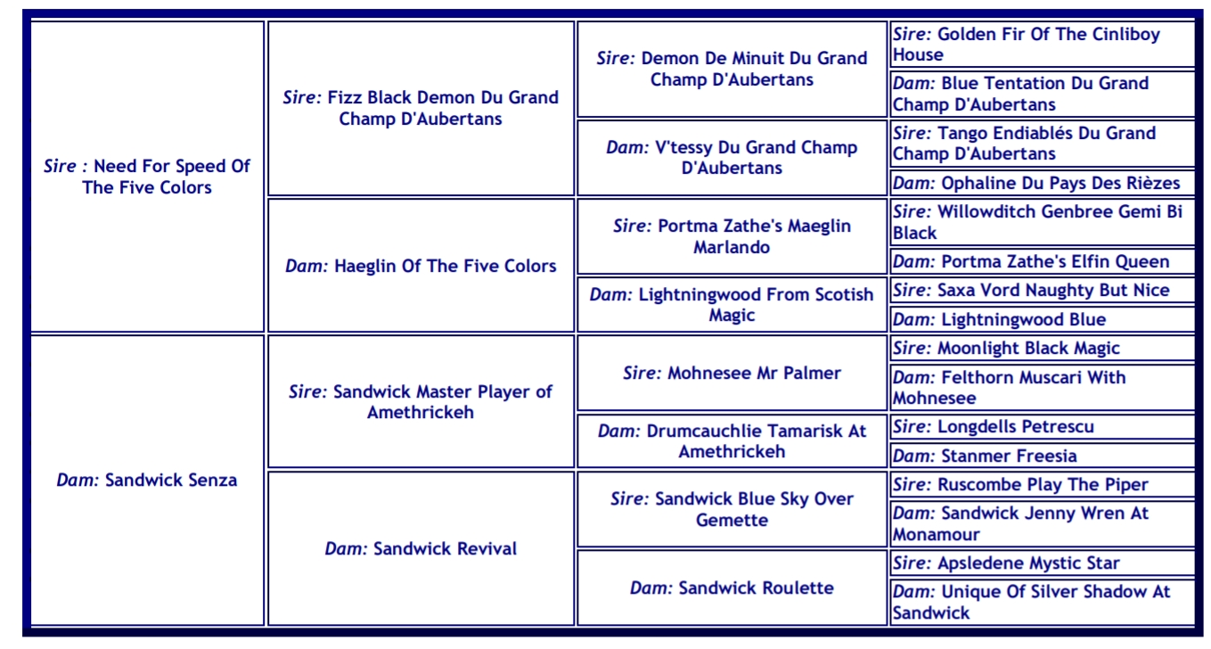 Quick Poppy Of The Five Colors *Tris* - beutlinss Webseite!