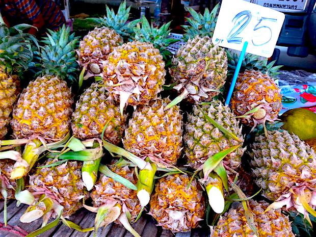 Things To Do in Khao Lak: a Travel Guide - The Alternative Travel Guide