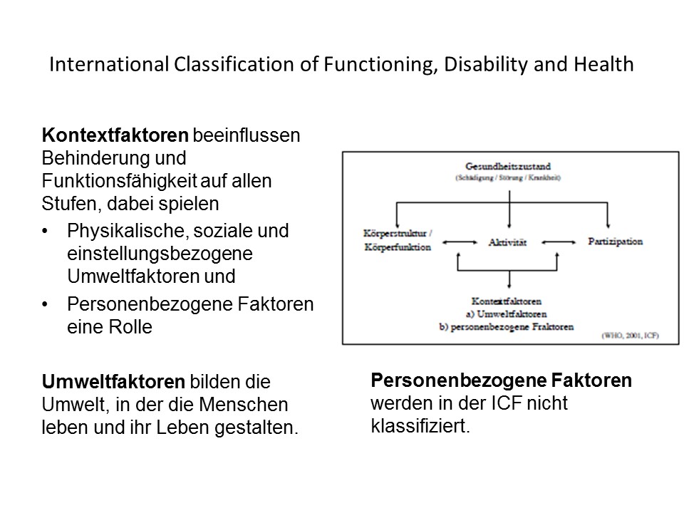 Internationale Klassifikation von Funktionen und Behinderungen (ICF ...