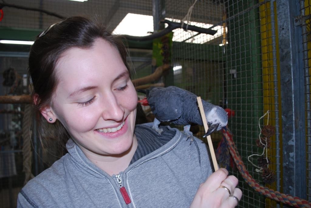 Sarah Lehner - Hundeschule Animal Train