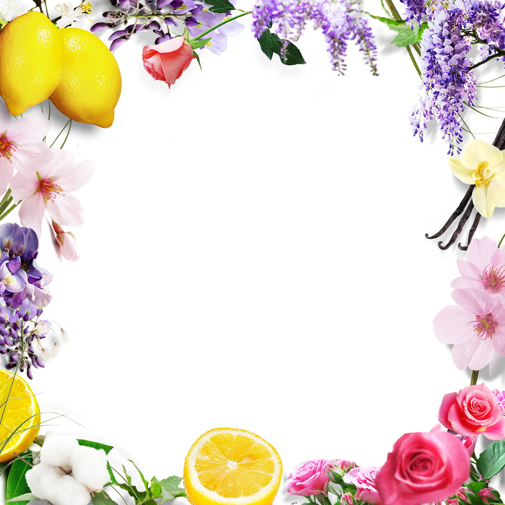 imp. - LE VERT BEAUTE