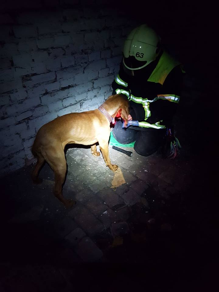 Sarah Leu - rhot-wittenberge Webseite!