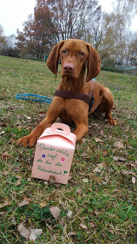 Sarah Leu - rhot-wittenberge Webseite!