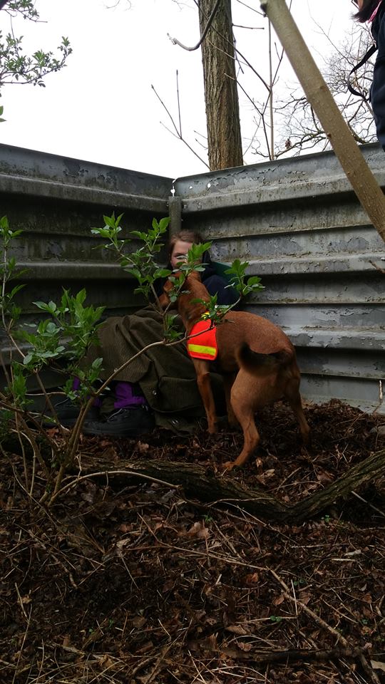 Sarah Leu - rhot-wittenberge Webseite!