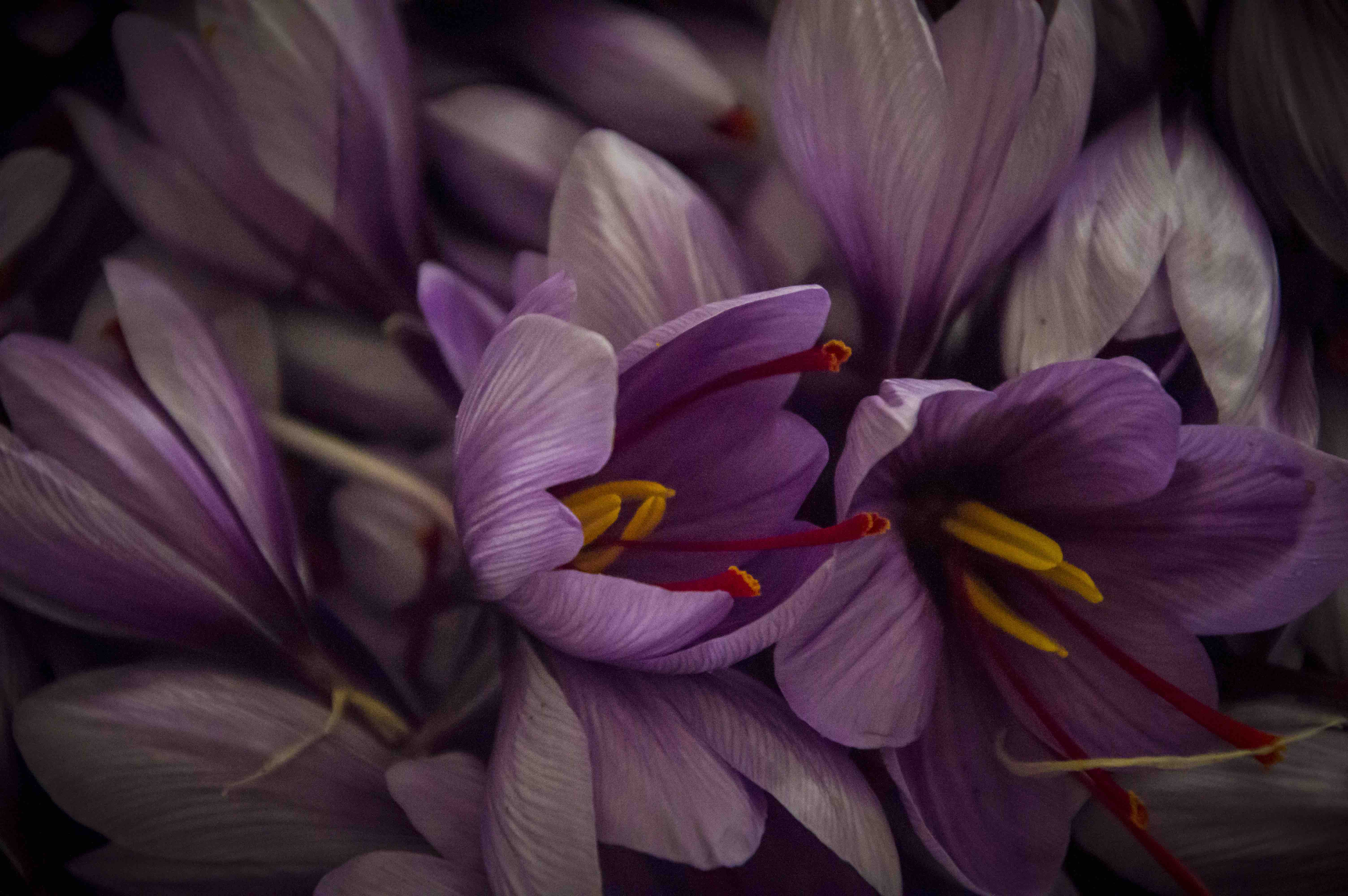 Terra Rossa Sicilia - www.terrarossasicilia.com