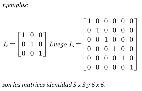 Tipos especiales de matrices - Matemática Informática y Educación