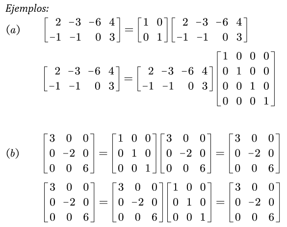 Tipos especiales de matrices - Matemática Informática y Educación