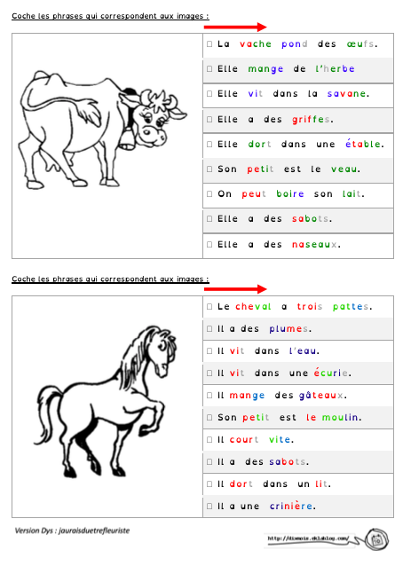 Lecture version DYS - Site de jauraisduetrefleuriste