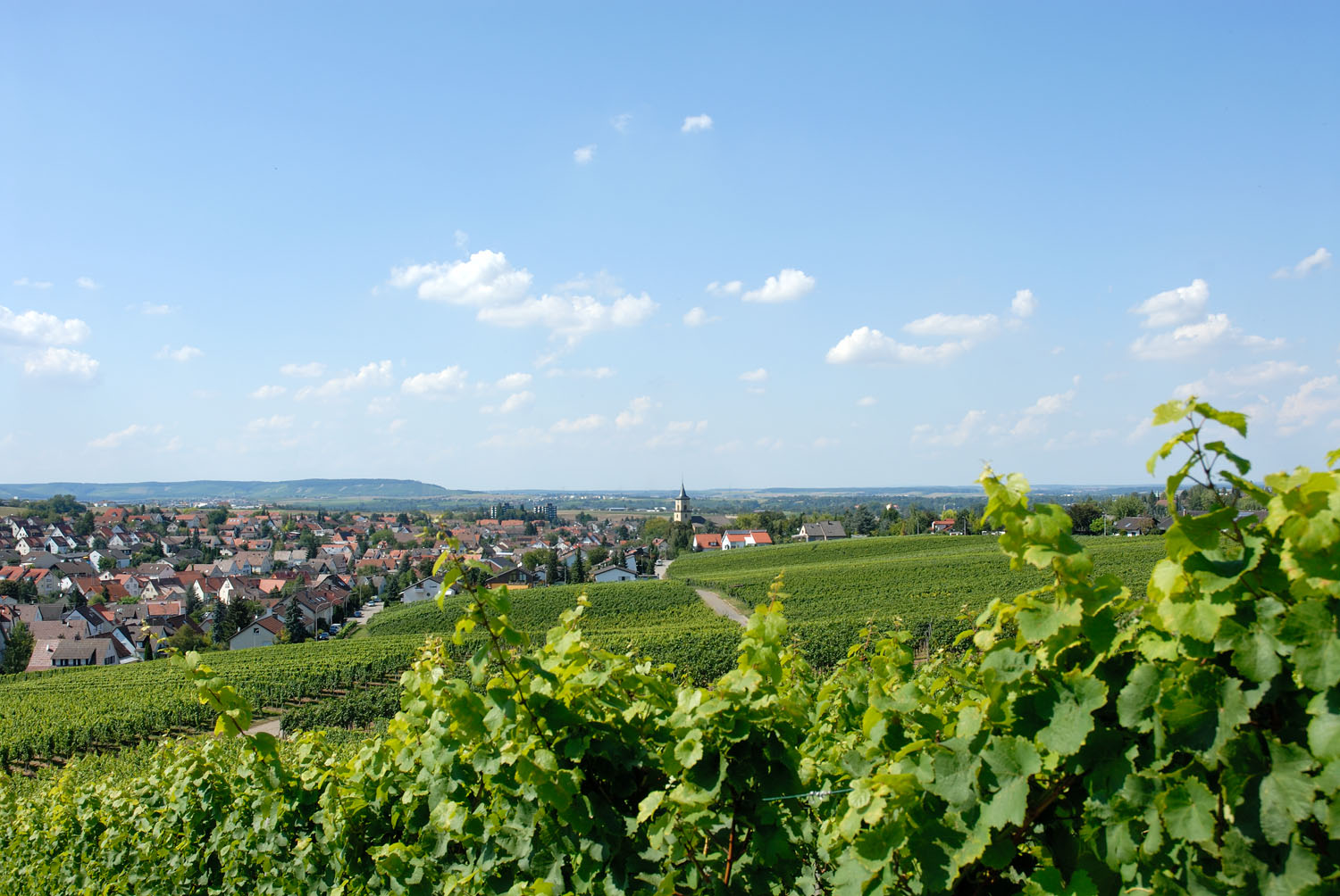 Flein, der Weinort - Flein in Bildern - Bach 4 You