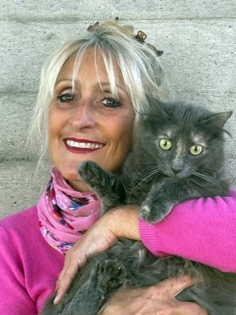 Team Katzen-Hotel Müsli - Katzen Hotel