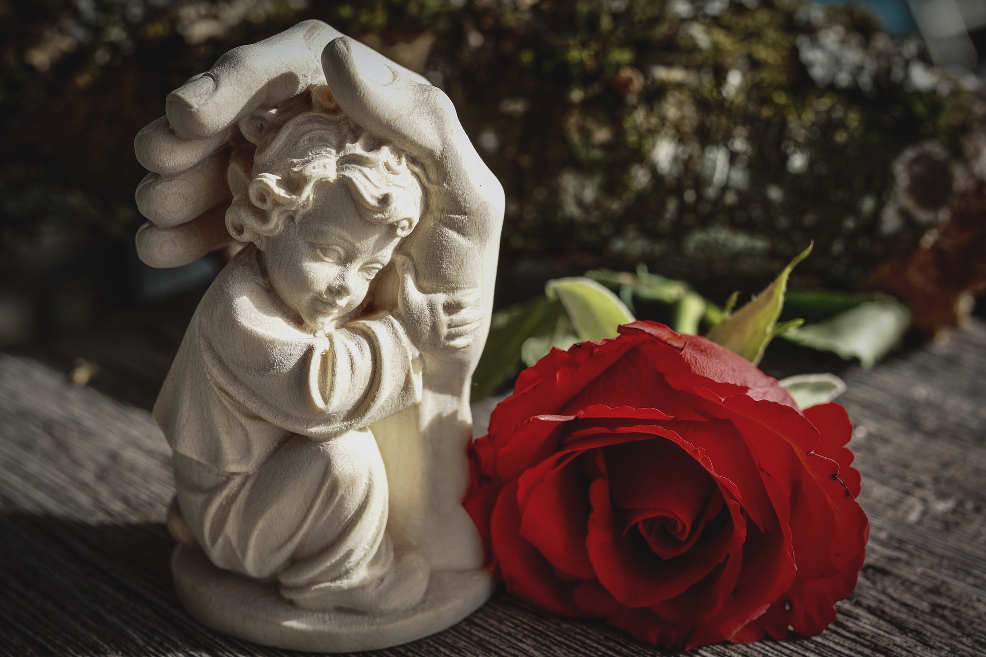 Gottes Gnade - Leben in Einheit