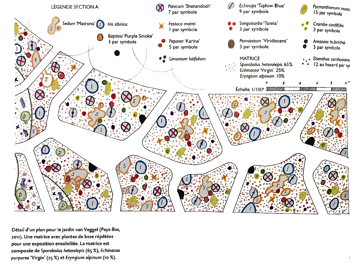 Le plan de plantation: de l'imagination à la conception - Wallonie en ...