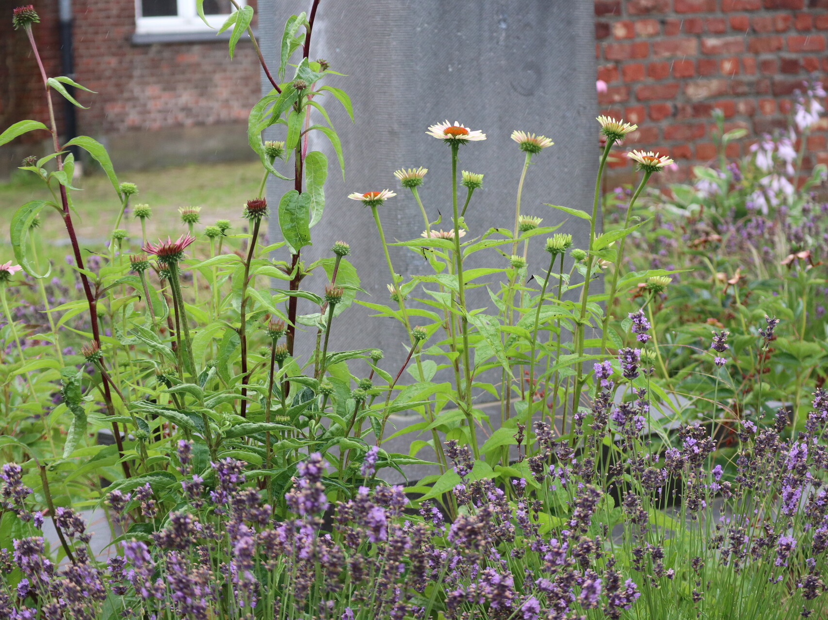 Ramillies ville fleurie - Wallonie en Fleurs