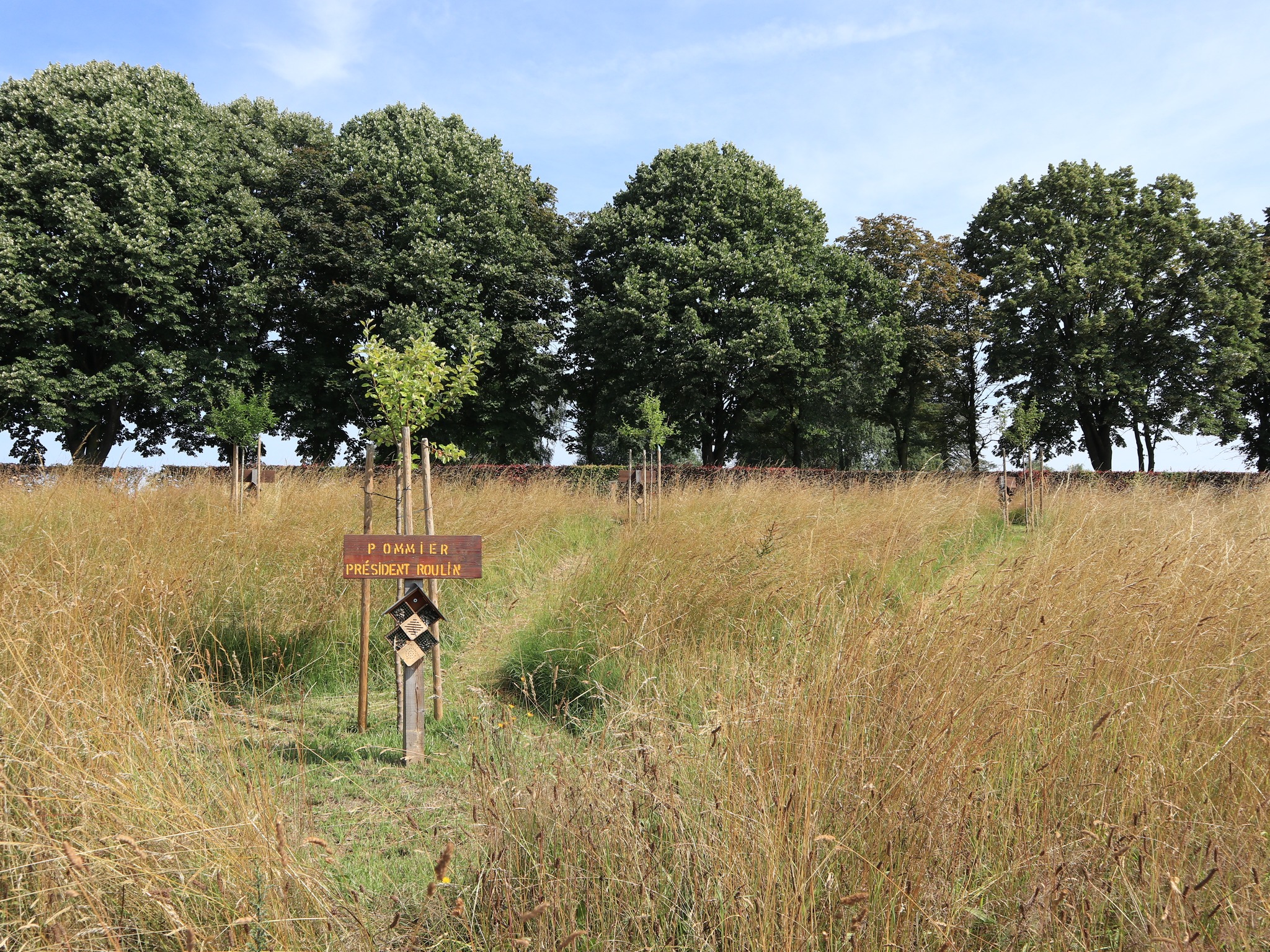 Lasne ville fleurie - Wallonie en Fleurs
