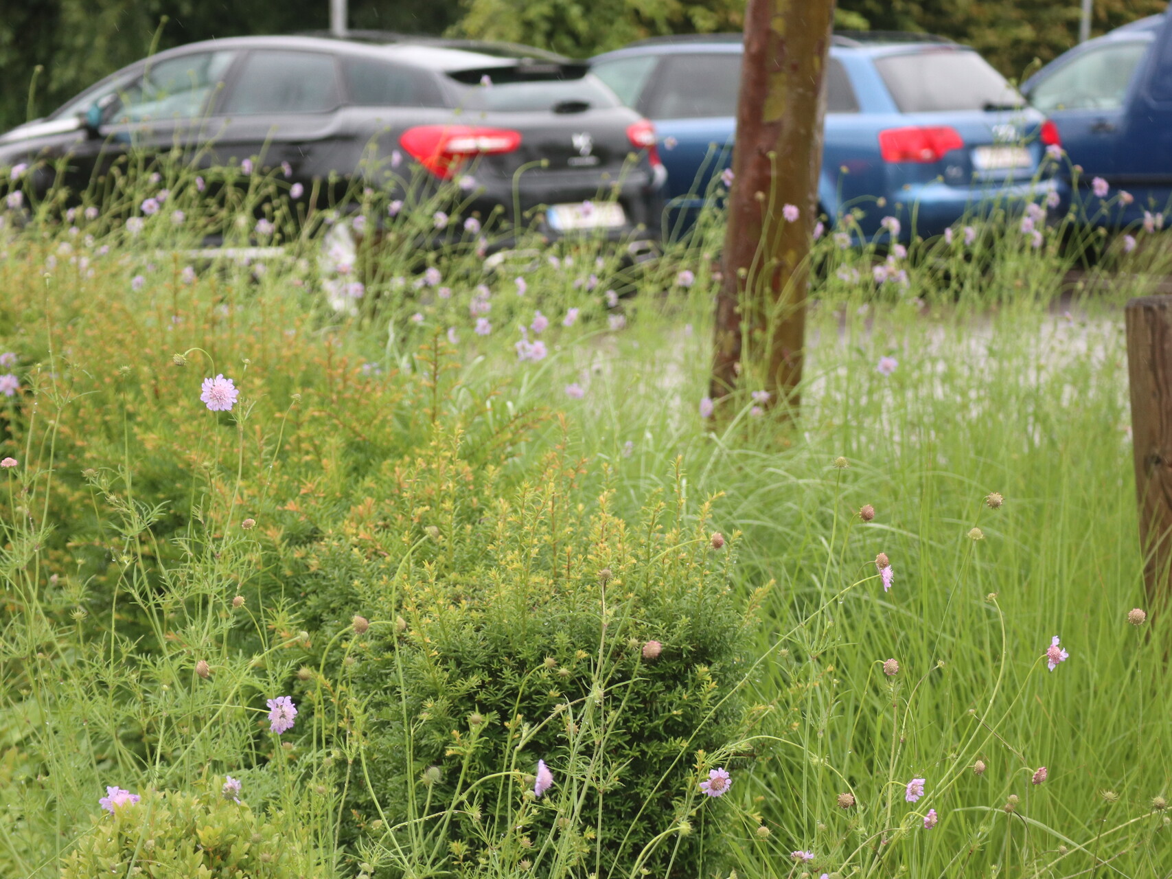 Ramillies ville fleurie - Wallonie en Fleurs