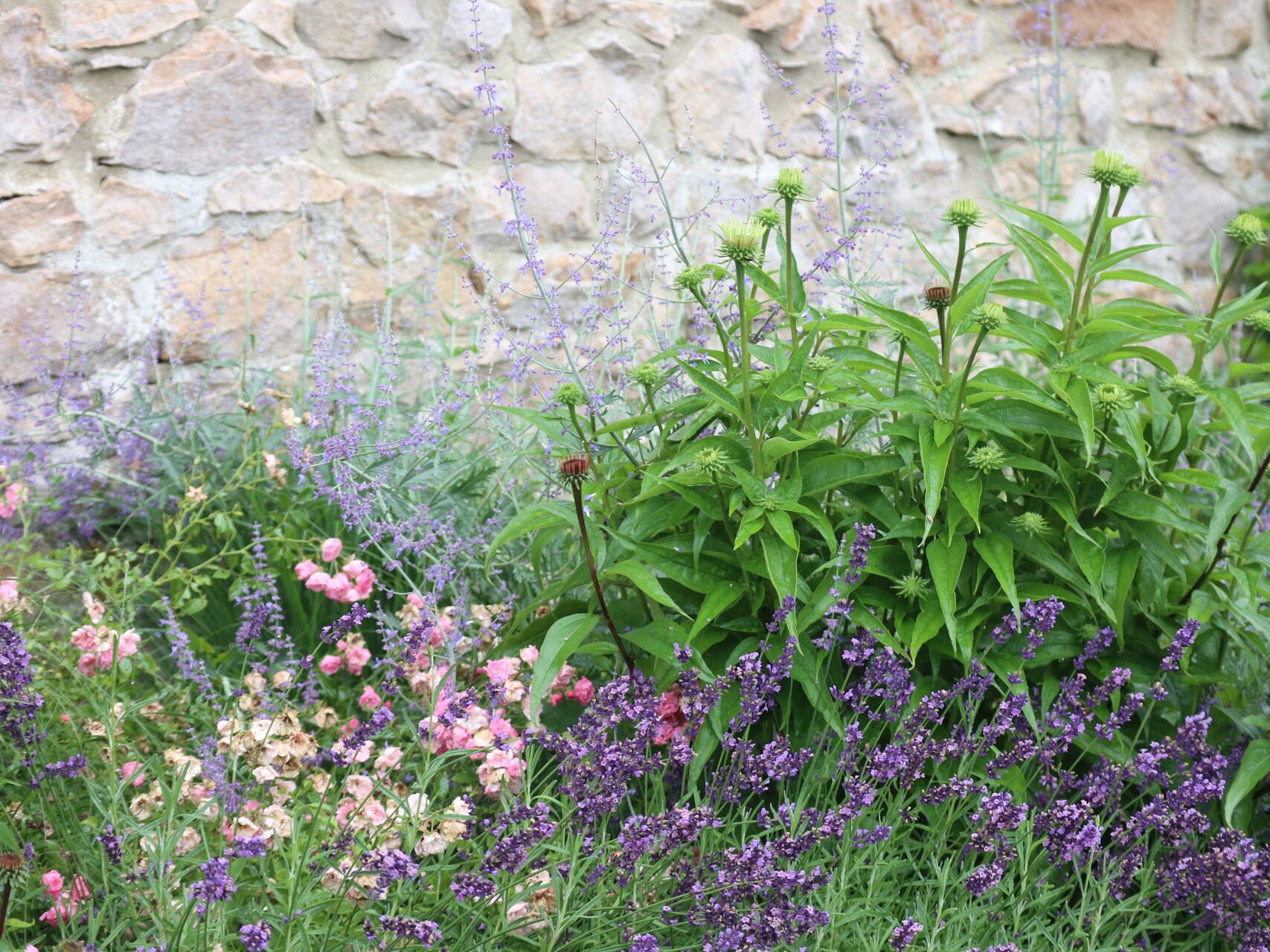 Ramillies ville fleurie - Wallonie en Fleurs