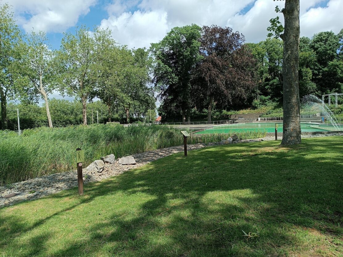 Dour ville fleurie - Wallonie en Fleurs