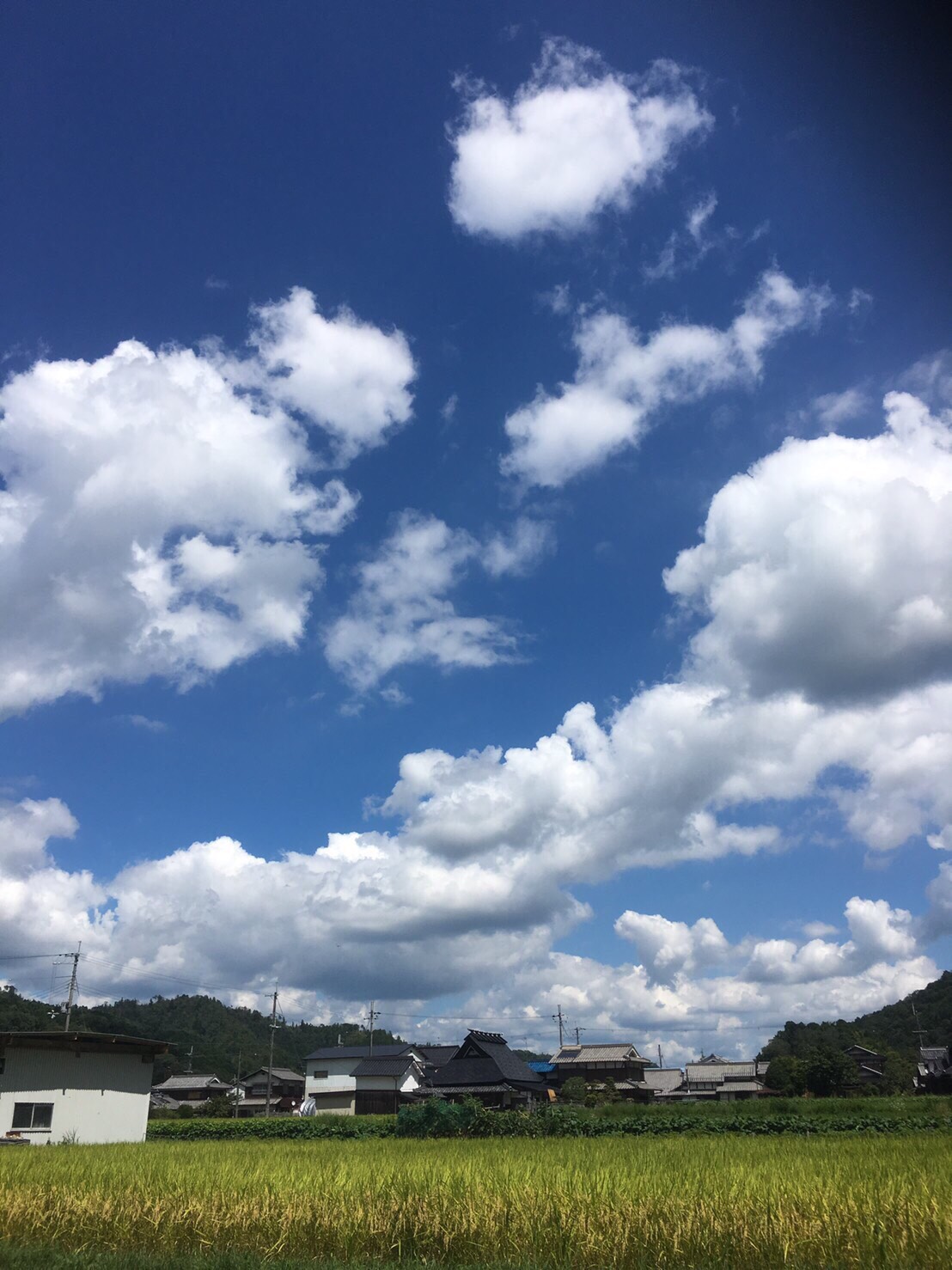 trainer - Gutie integrated