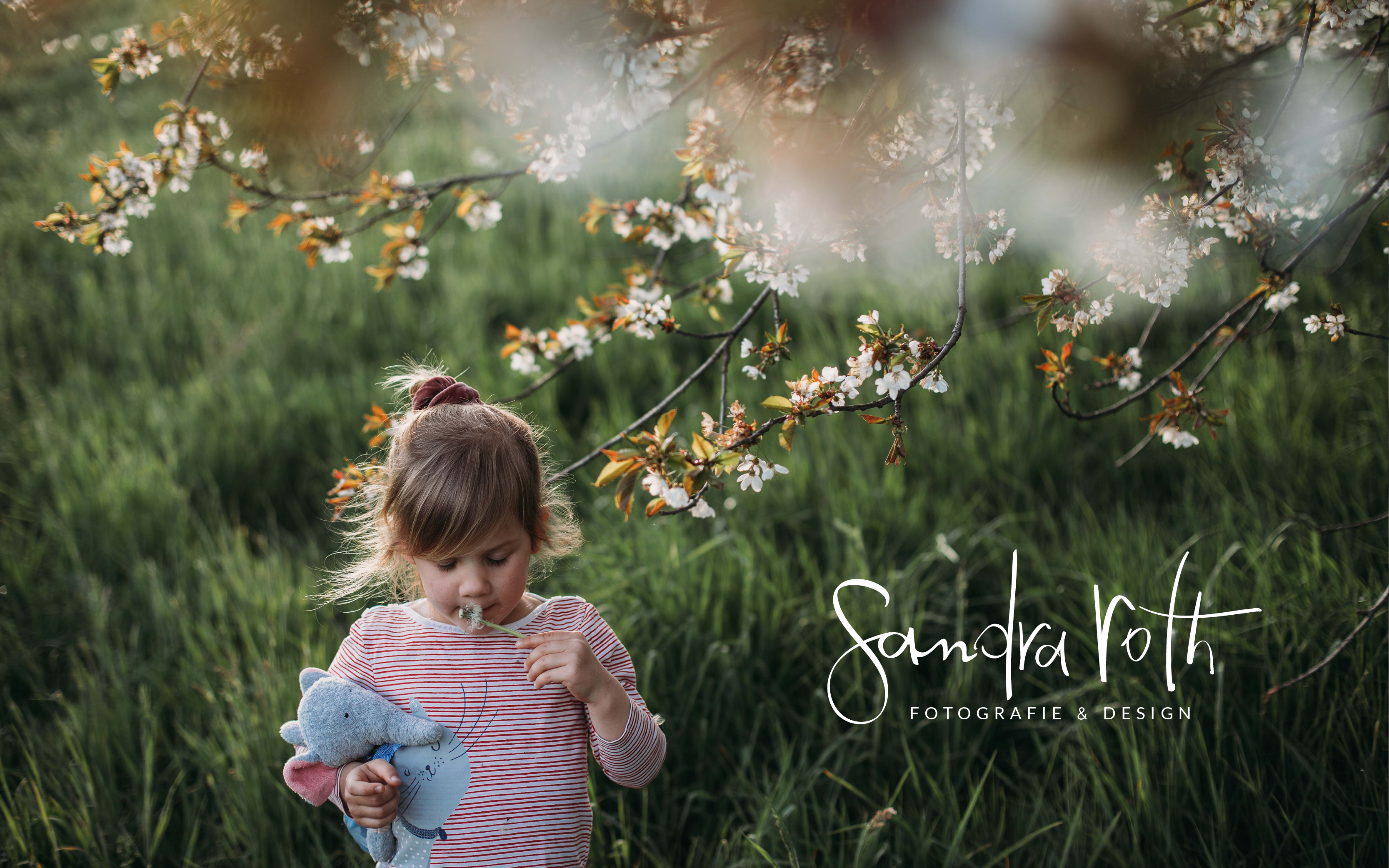 Impressum - Sandra Roth