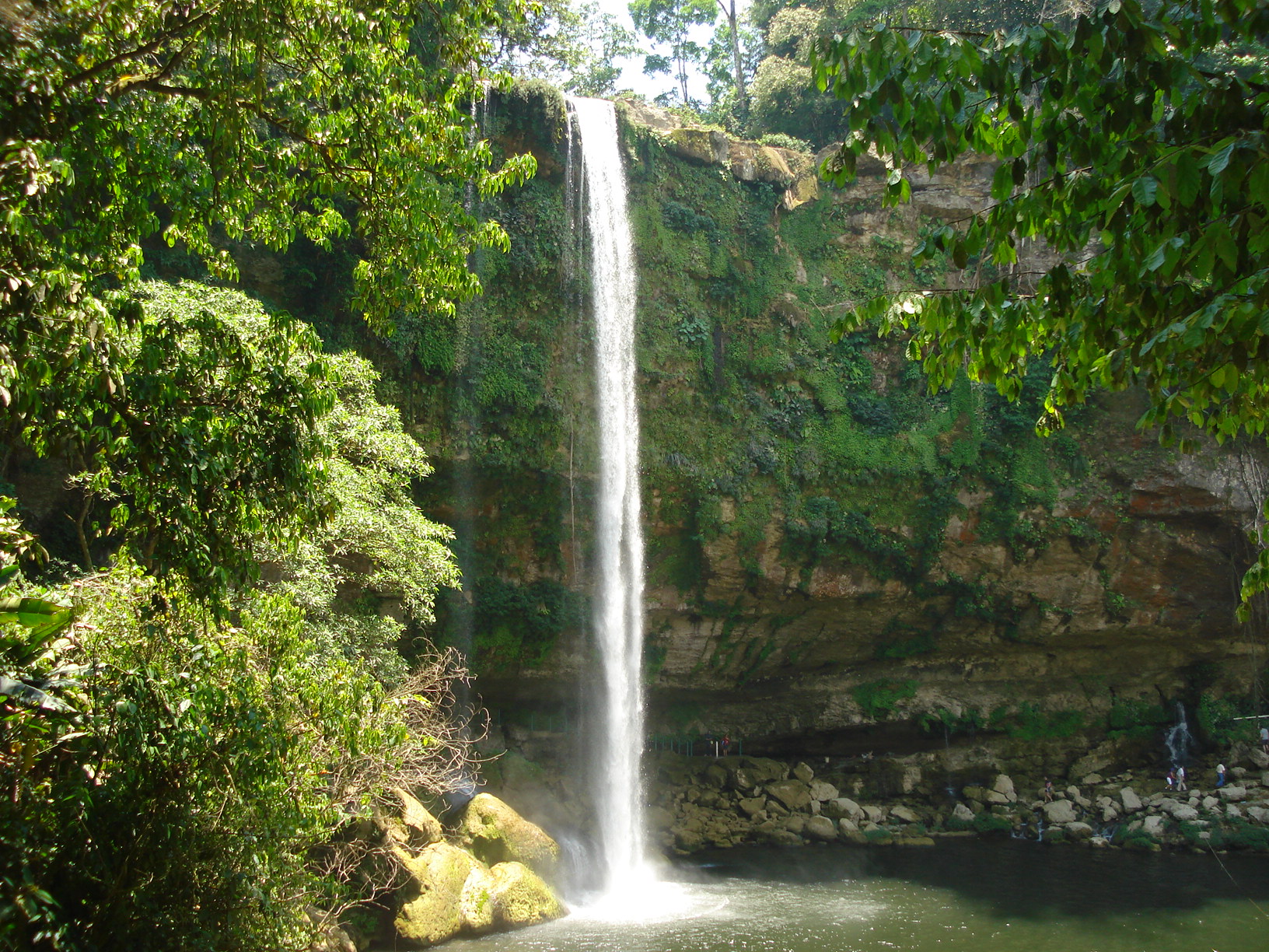 LAGUNA EL TABACAL - TURISMO ECOLÓGICO LA VEGA