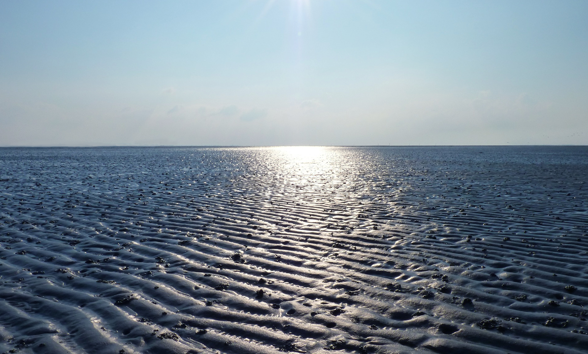 LAMARIN Product Range - lamarins Webseite!