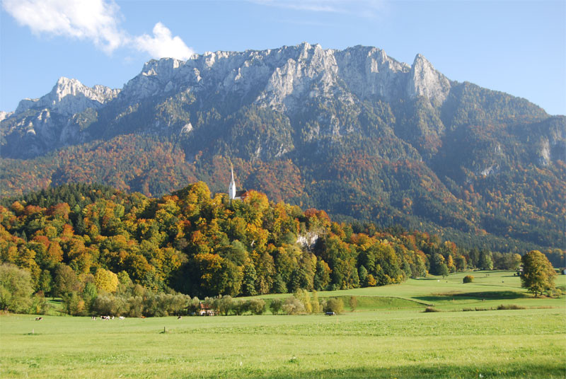 Sommer - Alpengasthof & Almkäserei Aschinger-Alm Ebbs/Tirol
