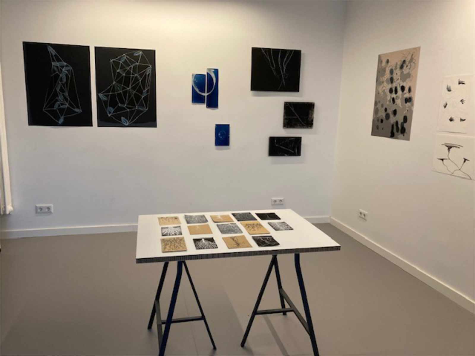 Fragile Nature - ODALISQUE Berlin