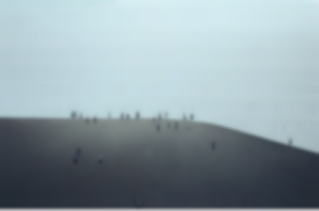 Large Ark Official Website - Large Ark ラージアーク Official Website