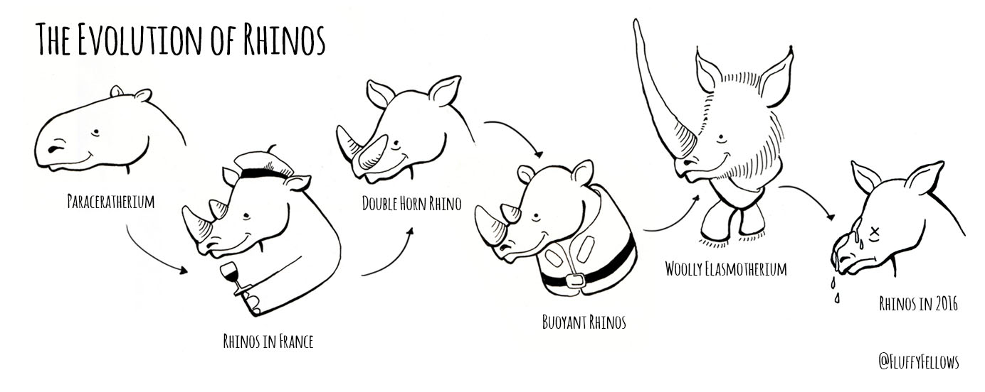 rhino evolution