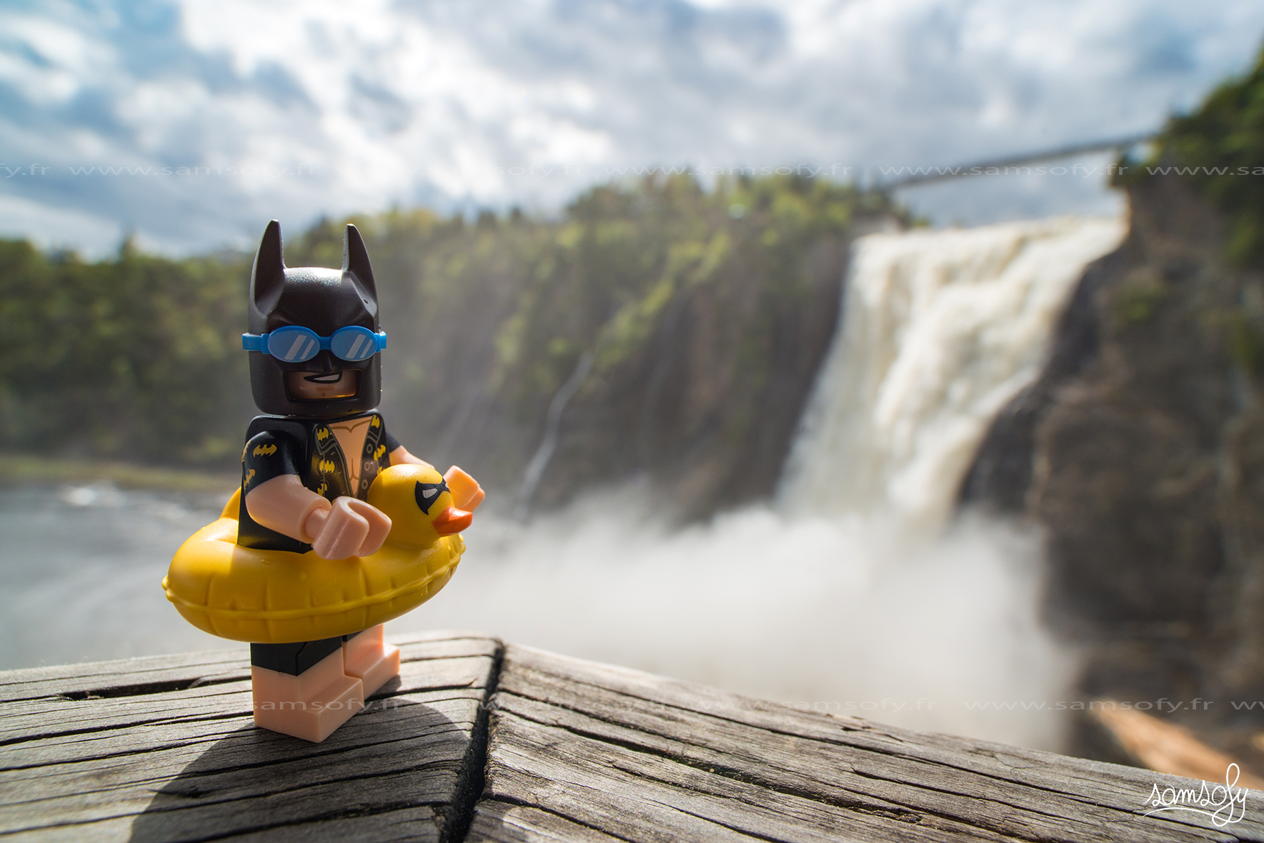 Legography "Limited Serie" - Samsofy Artisan Imager