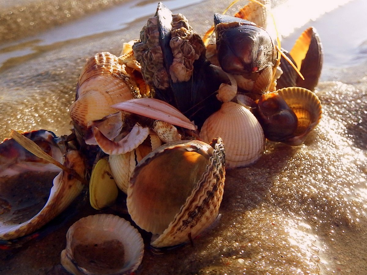 Ein Insider packt aus - Neulich in Friesland... Ein Insider packt aus - Neulich in Friesland...