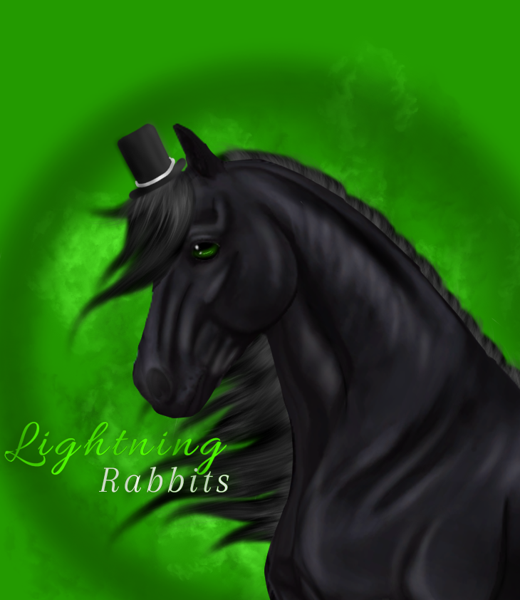 Bewerbung - lightningrabbitss Webseite!