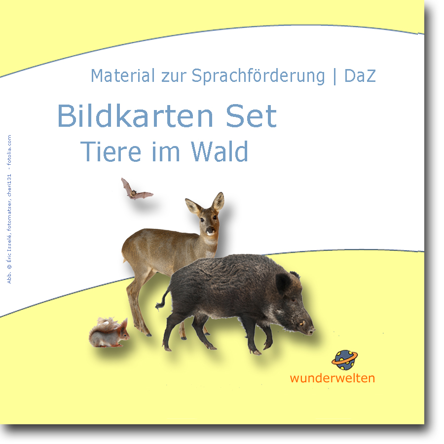 Bildkarten DaZ Grundschule - Freiarbeitsmaterial Grundschule