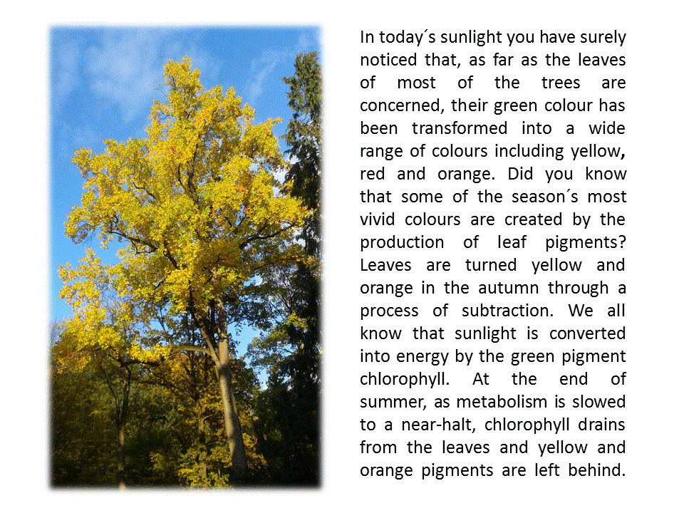 E Learning Task 3 Points Technicalenglishc02s Webseite