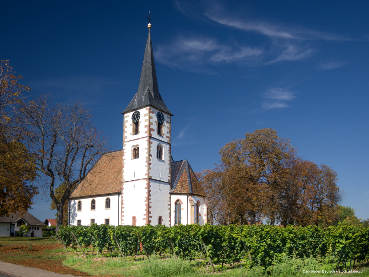 Friedelsheim - Pfalz Weinfeste