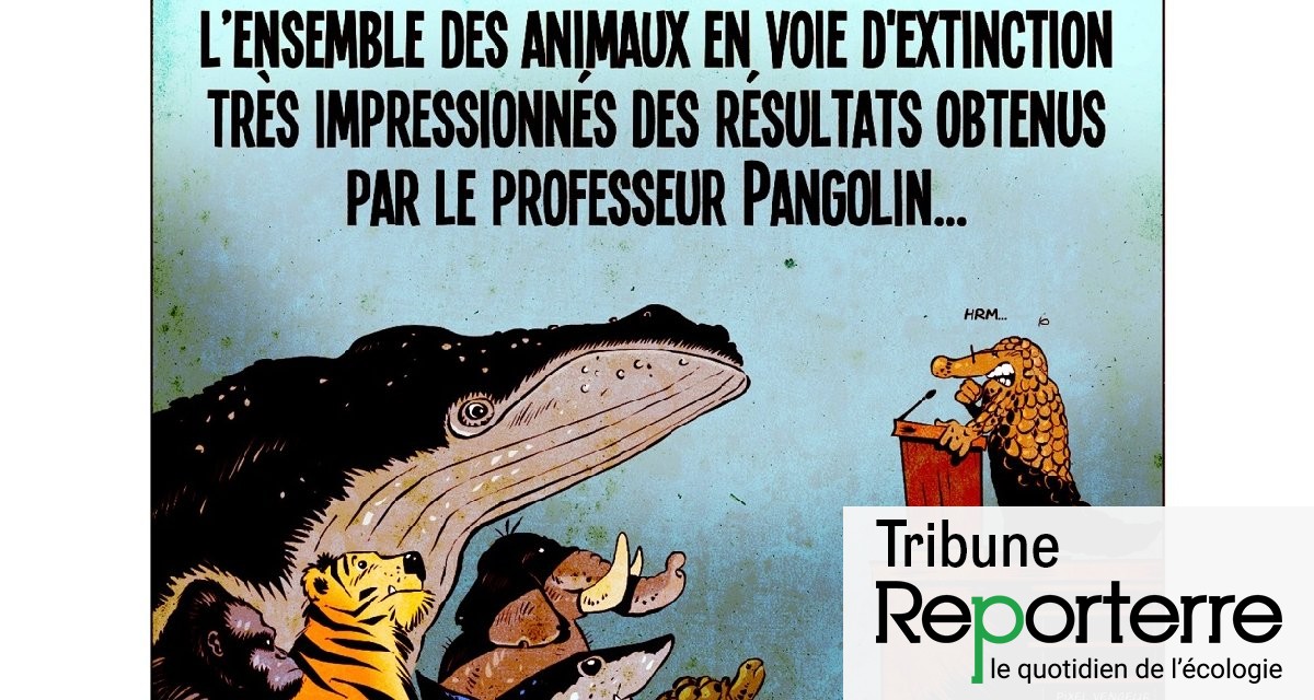 I/ Un terme polysémique difficile à définir - Site de clioetgaia972hggsp