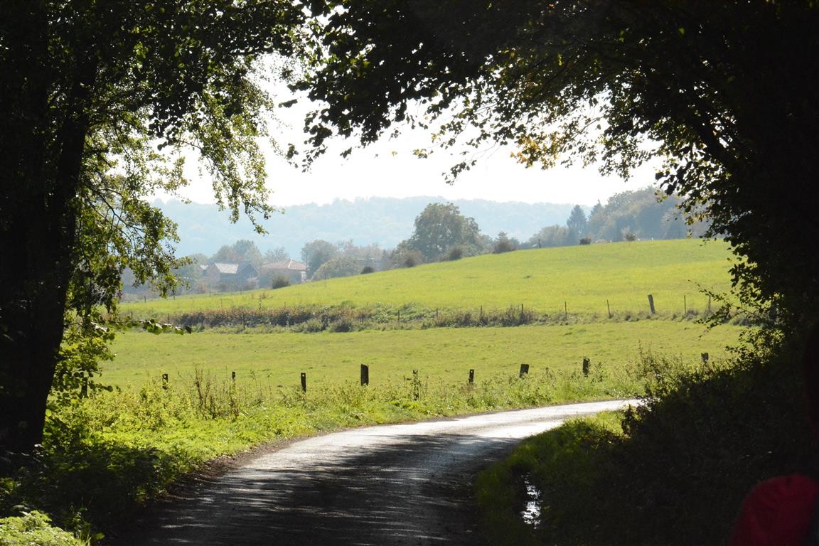 Torgny, het mooiste dorp van de Gaume - De website van willysnatuurfotos!