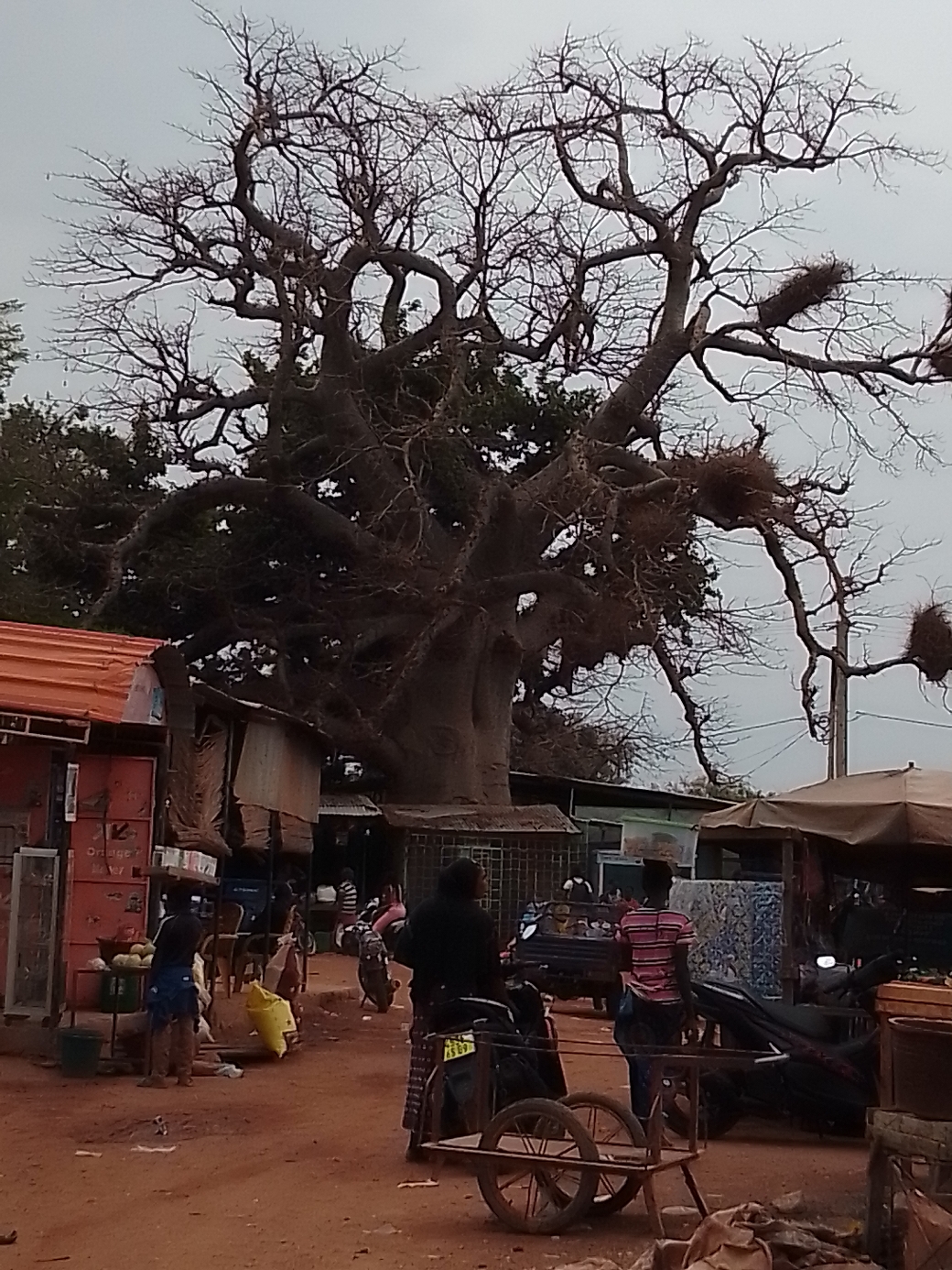 Gaoua Au Burkina Faso "Les Enfants Au Cœur De Notre Projet https://www ...