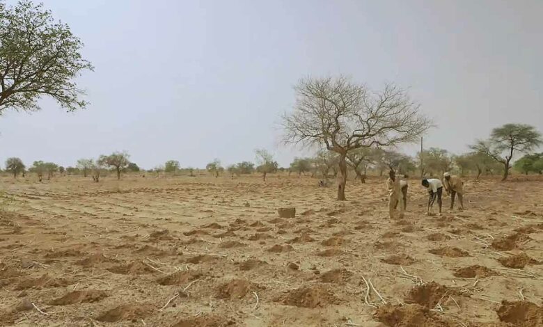 Zaï, une méthode africaine ancestrale pour « capturer l’eau de pluie ...