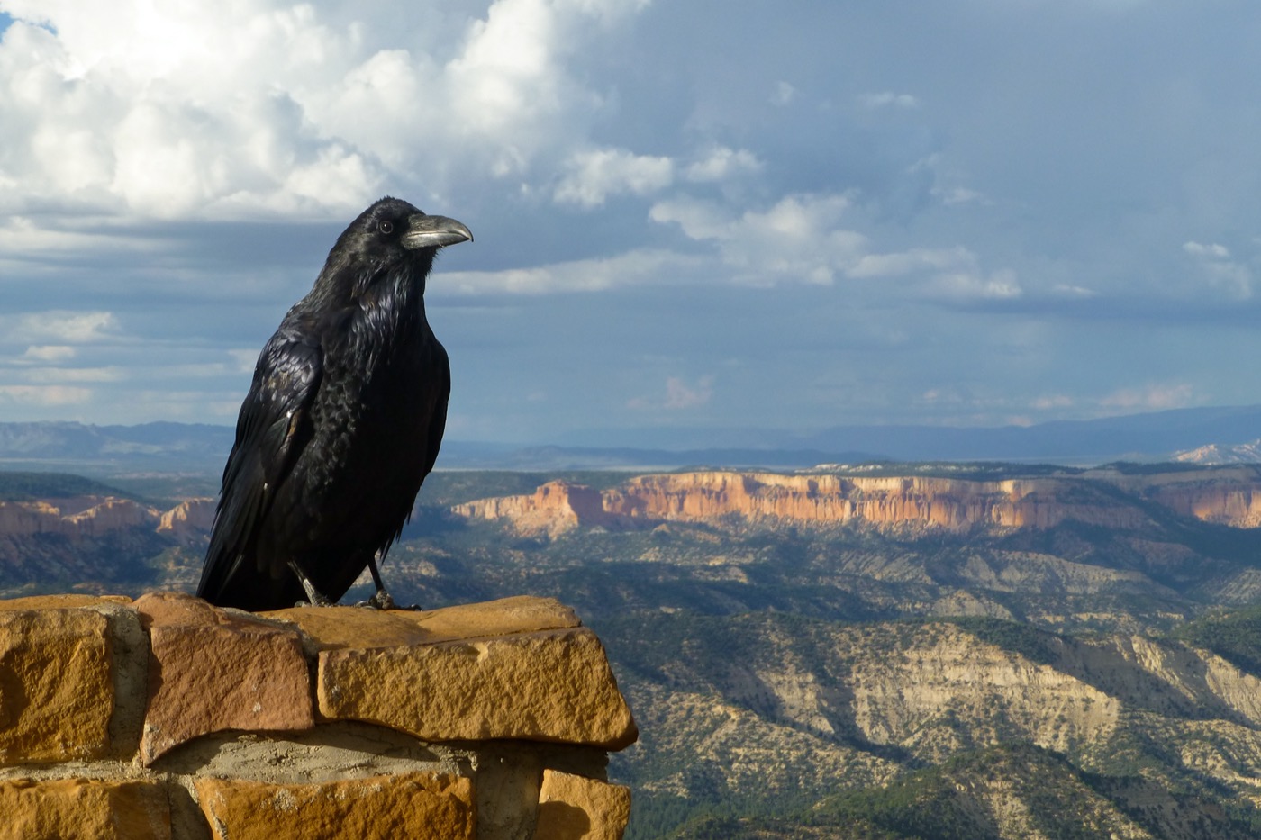 Ausgabe 09 - November 2021 - USA entdecken