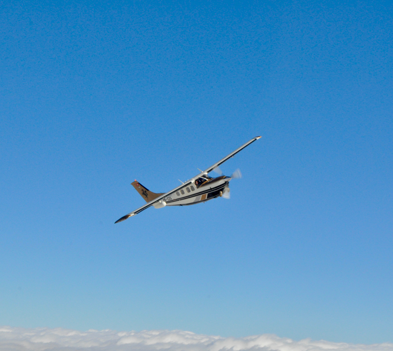 Readings - Cessna Silver Eagle Owners and Pilots Association SEOPA C10T ...