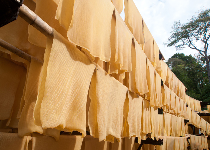 Kautschukgewinnung in Thailand - Thailand Urlaub