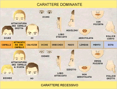 scienze: classe terza - Benvenuti su volendostudiare!