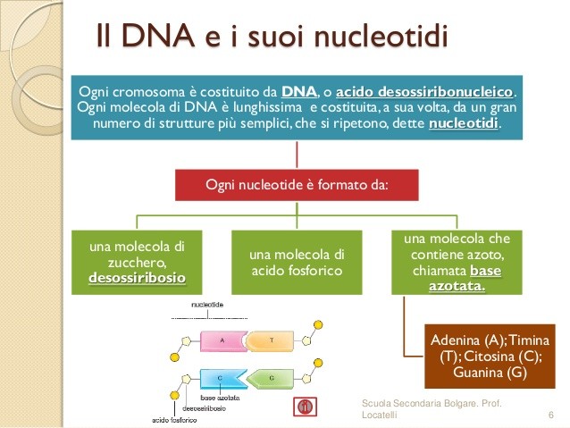 scienze: classe terza - Benvenuti su volendostudiare!