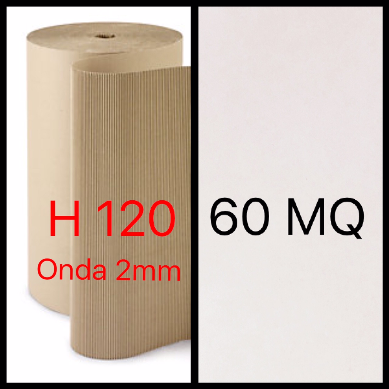 CARTONE FOGLI e ROTOLI - Benvenuti su pellacanidantesnc!